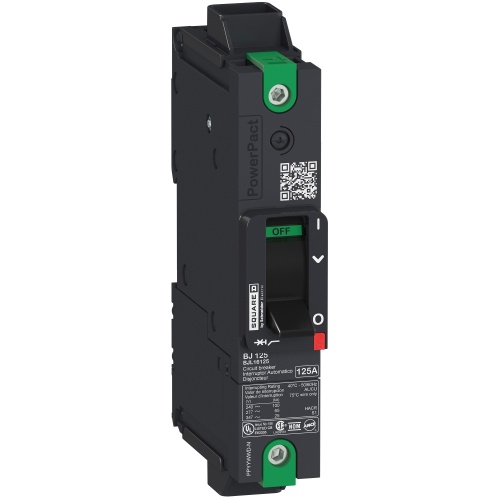 Schneider BGM26070 Square D Breaker B Frame 70 Amp Two Pole